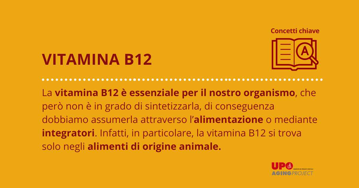 VITAMINA B12 | Glossario | Aging Project Uniupo